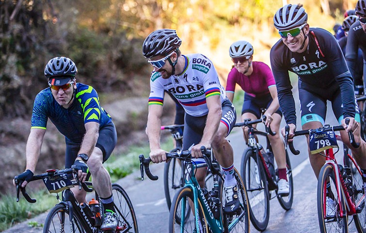 Victory Elixir | Lotions for athletes